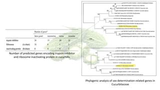 Advances In Vegetable Breeding Methods Pptx