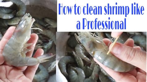 How To Clean Shrimp Like A Professional Simple Tips Youtube