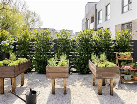 Backyard Privacy Creative Ideas For Your Outdoor Haven Nuvo Iron