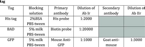 Summary Of The Different Conditions Used For The Western Blot Depending