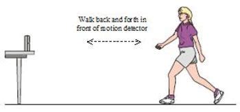 Graph Match Lab By Jason Reed TPT