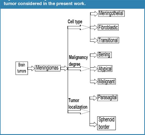 Figure 1 From Automatic Segmentation Of A Meningioma Using A Computational Technique In Magnetic