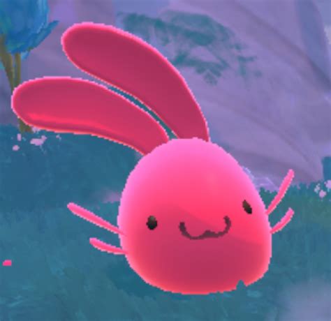 Create A Slime Rancher 2v030 Largo Slimes Tier List Tiermaker