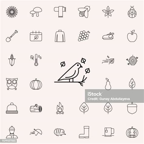 鳥のアイコン普遍的な秋のアイコンを Web とモバイルを設定します アイコンのベクターアート素材や画像を多数ご用意 アイコン