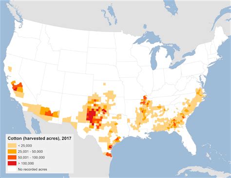 Cotton Breeders Are Using Genetic Insights To Make This Global Crop