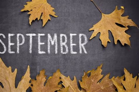 Weton Yang Akan Ketiban Rezeki Dan Segala Urusan Dimudahkan Di Bulan September Menurut