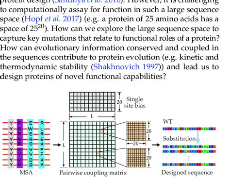 Computational Protein Design Protocol Energy Like Potential Is Download Scientific Diagram