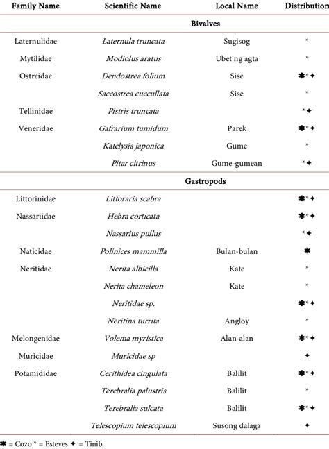 List Of Bivalve And Gastropod Species Found In Mangrove Forests Of