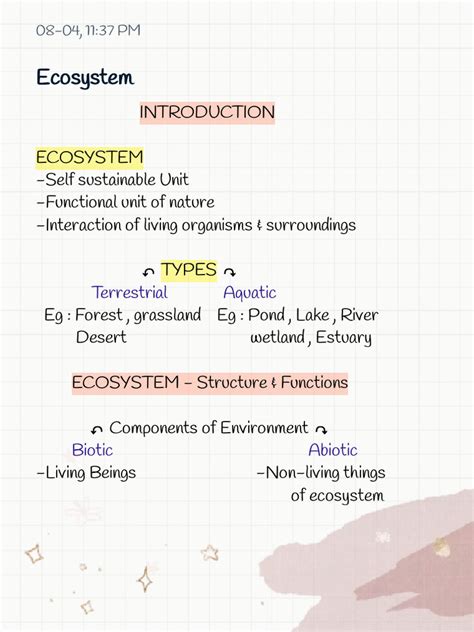 Ecosystem Notes By Andleaf Pdf Ecosystem Food Web