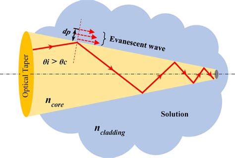 Propagation And Penetration Depth Of Light In An Optical Fiber Taper