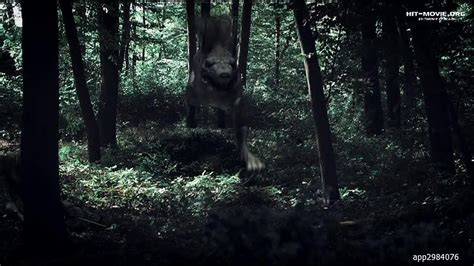 Белоснежка и принц эльфов — Видео от Новинки кино ВКонтакте