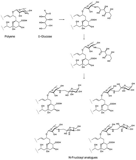 Generation Of New Glycoanalogues Of Polyene Antibiotics By Synthetic