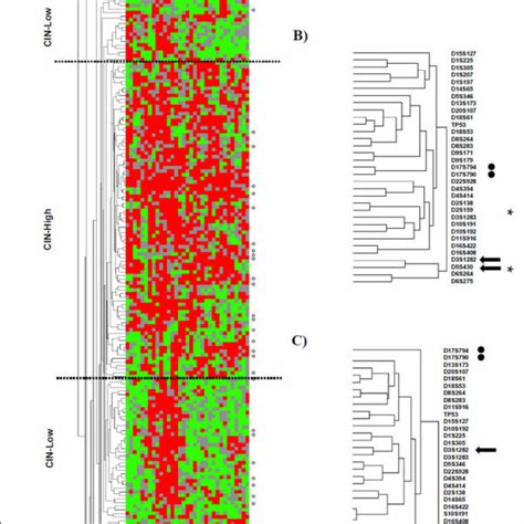 Two Way Hierarchical Clustering Of Allelotyping Rectal And Colon