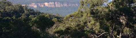 Sustainability Commitment Elc