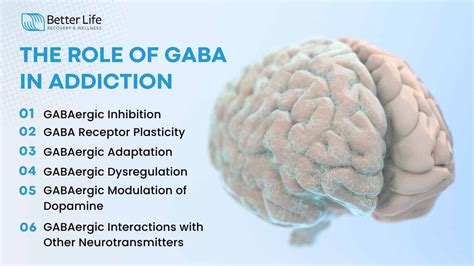 Gaba Definition Functions And Role In Addiction Better Life Recovery