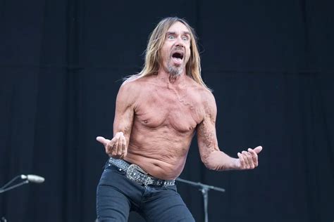 Iggy Pop Ícone do Rock e Canhoto Universo dos Canhotos