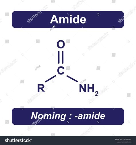 Amide Group Chemical Structure Vector Illustration Stock Vector