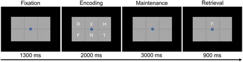 Age Related Alterations In The Oscillatory Dynamics Serving Verbal