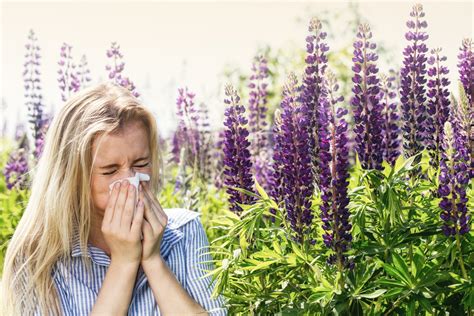 Seasonal Allergy Relief Jase Medical