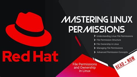 Day 15 Mastering Linux Permissions File Permissions And Ownership In Linux