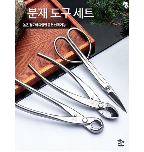나무 뿌리 분재용 관리 핀셋 가위 정원 원예 꽃가위 치기 도구 꽃 개 티몬