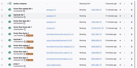 Project Is Configured And Running But Localhost Is Not Able To Load Or Keycloak Url Is Not