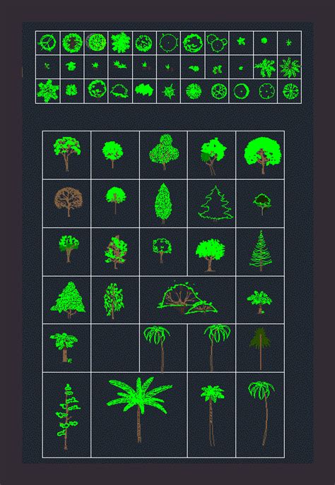 Trees And Palms In DWG 1 70 MB CAD Library