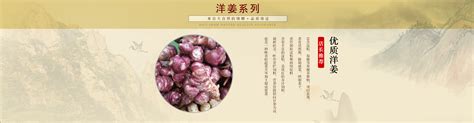 安丘市凌河镇香姜阁姜产品经营中心 阿里巴巴旺铺