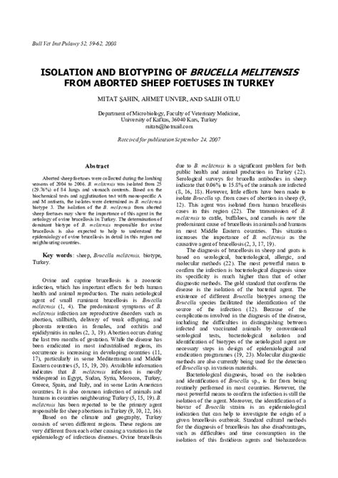 Pdf Isolation And Biotyping Of Brucella Melitensis From Aborted Sheep Foetuses In Turkey