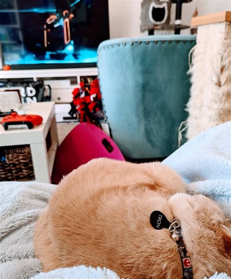 Saw Someones New Tron Inspired Ios Wallpaper Decided To Try It Not Disappointed R Tron