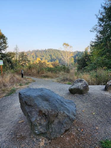 Ribbon Trail Eugene Spotlights Eugene Business Directory