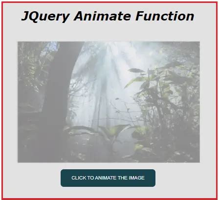 Jquery Animate Function With Examples Dot Net Tutorials