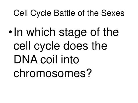 PPT Cell Cycle Battle Of The Sexes PowerPoint Presentation Free Download ID