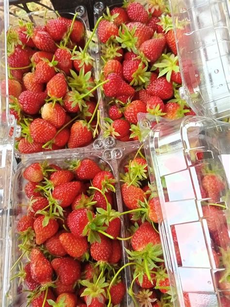 ჩვენი სოფლის მეურნეობა Our Village Farm Home Facebook