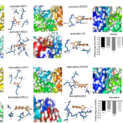 Molecular Docking Between Small Molecule Ligands And Core Targets