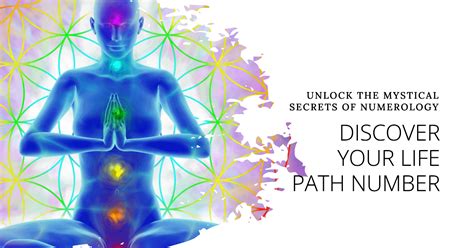 Numerology Life Path Number Gbuda Numerology