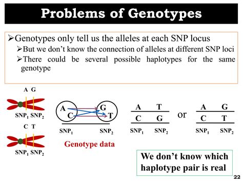 Haplotype Based Genomic Selection For Precision Plant Breeding Pptx