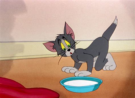 Tom And Jerry Pictures The Invisible Mouse