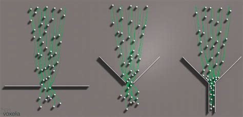 Figure 2 From Real Time Collision Avoidance For Pedestrian And