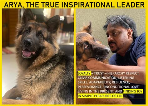 chinta shyamsundar on linkedin learning is continuous are you
