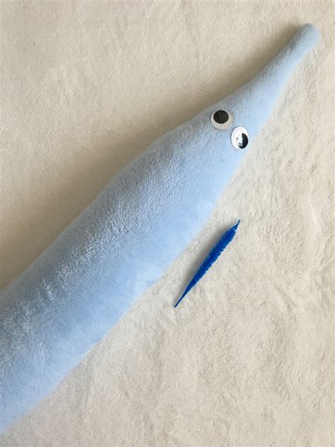 Stars Come Out Of Hiding For You