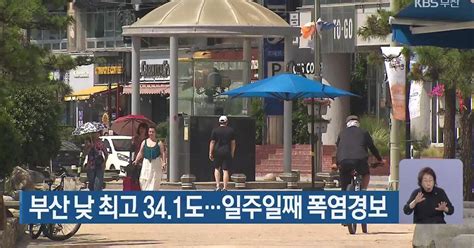 부산 낮 최고 341도일주일째 폭염경보