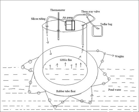 What Is A Float Chamber At Randall Graves Blog