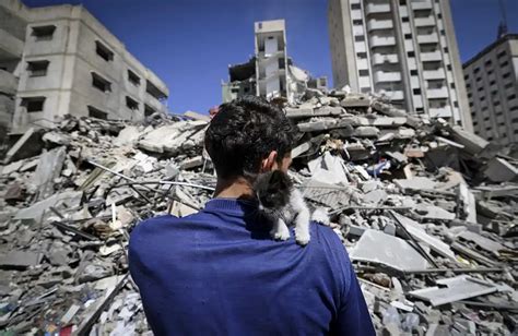 40 مليار دولار قطر ستلعب دورًا محوريًا في إعادة إعمار غزة