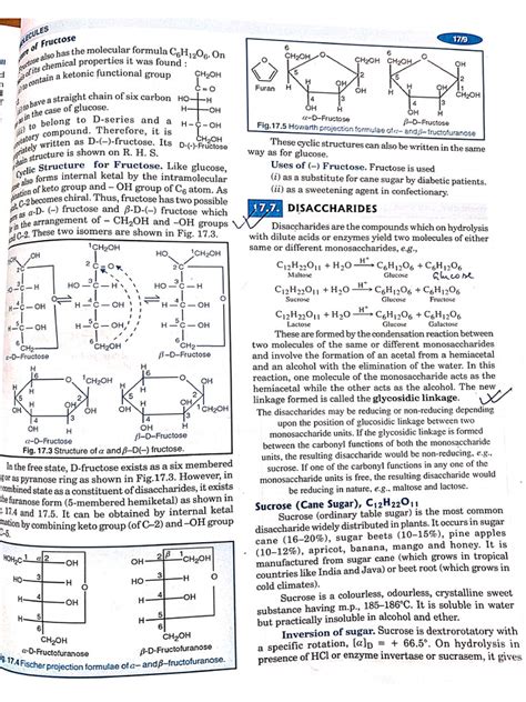 Disaccharides And Polysaccharides Pdf