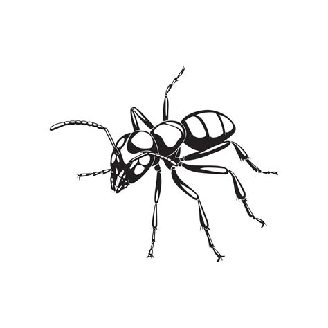 Ant Vector Images 37745393 Vector Art At Vecteezy