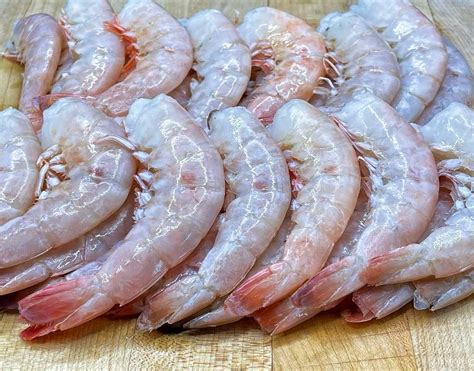 Key West Pink Shrimp U10 12
