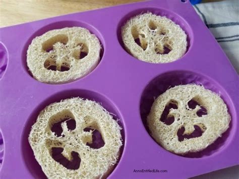 Homemade Exfoliating Loofah Soap