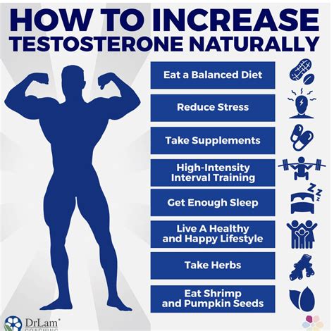 Elevate Your Testosterone Naturally Effective Strategies For Boosting
