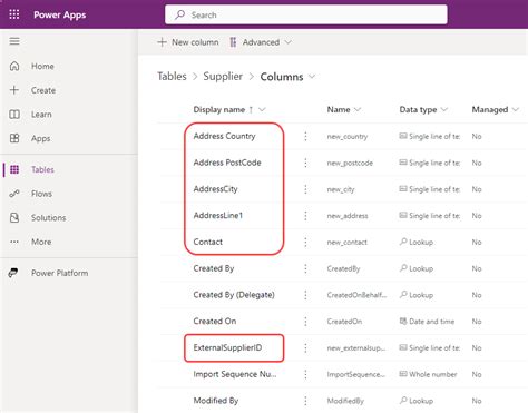 Custom Entities Simego Docs